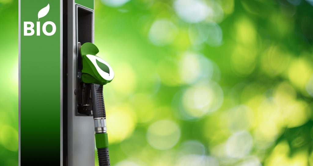 RED III: Transforming Europe's renewable energy landscape